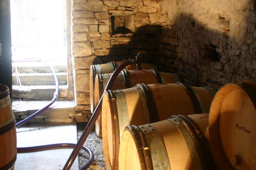 Our Wine - Maison Harbour